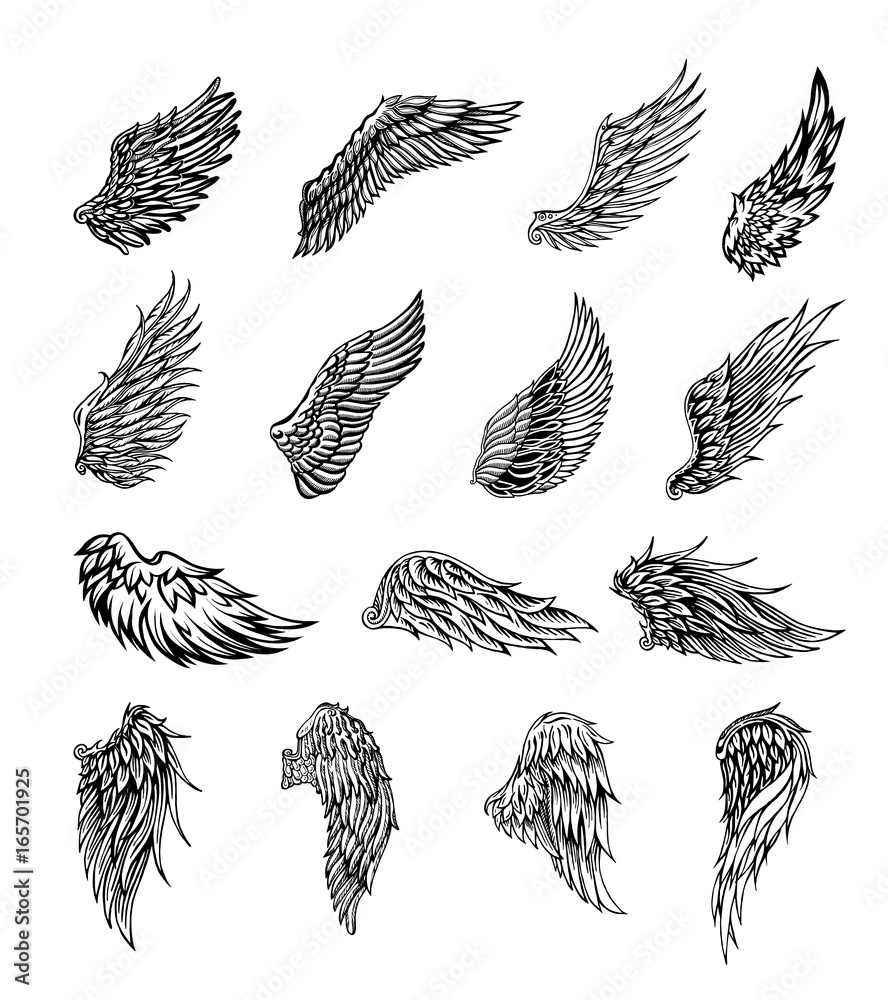 Wings graphic illustration Stock Vector | Adobe Stock
