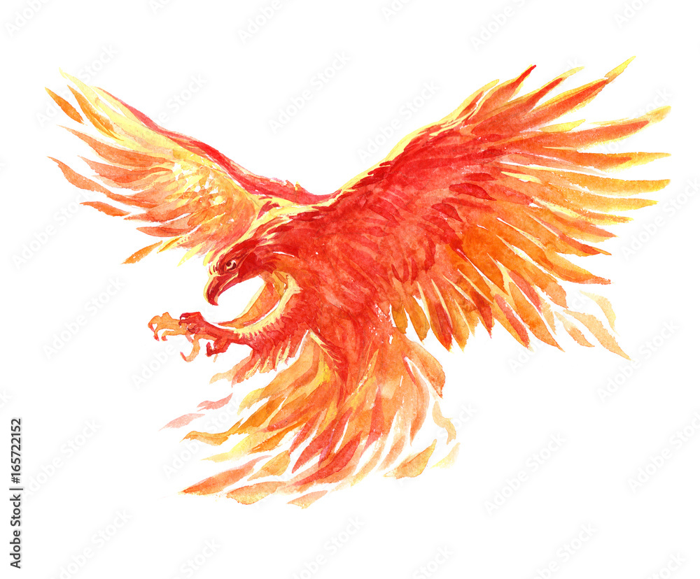 Watercolor single character mystical mythical character phoenix ...