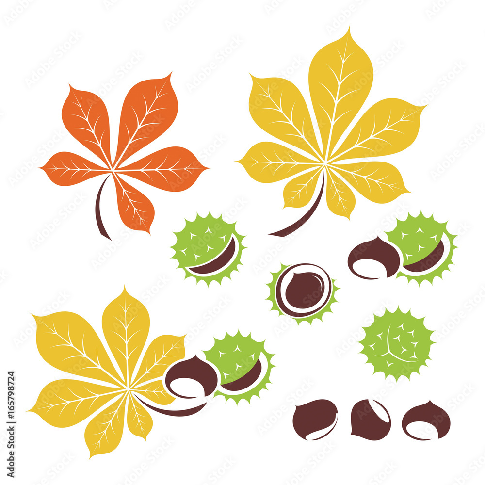 Chestnut icon or logo in modern line style. Vector illustration on a ...