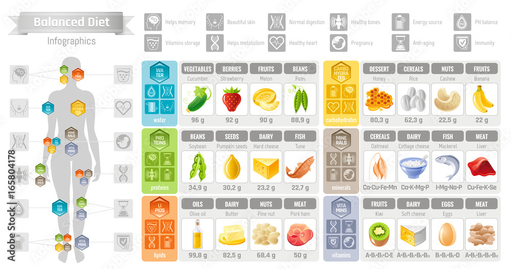 Balance diet infographic diagram poster. Water protein lipid ...