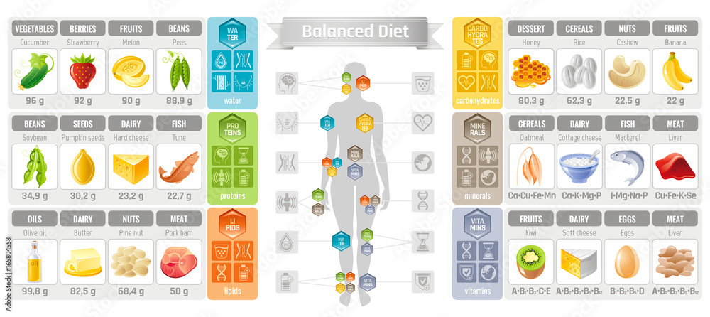 Balance diet infographic diagram poster. Water protein lipid ...