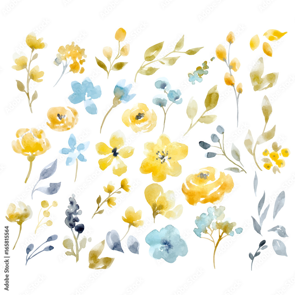 Watercolor floral vector set Stock Vector | Adobe Stock