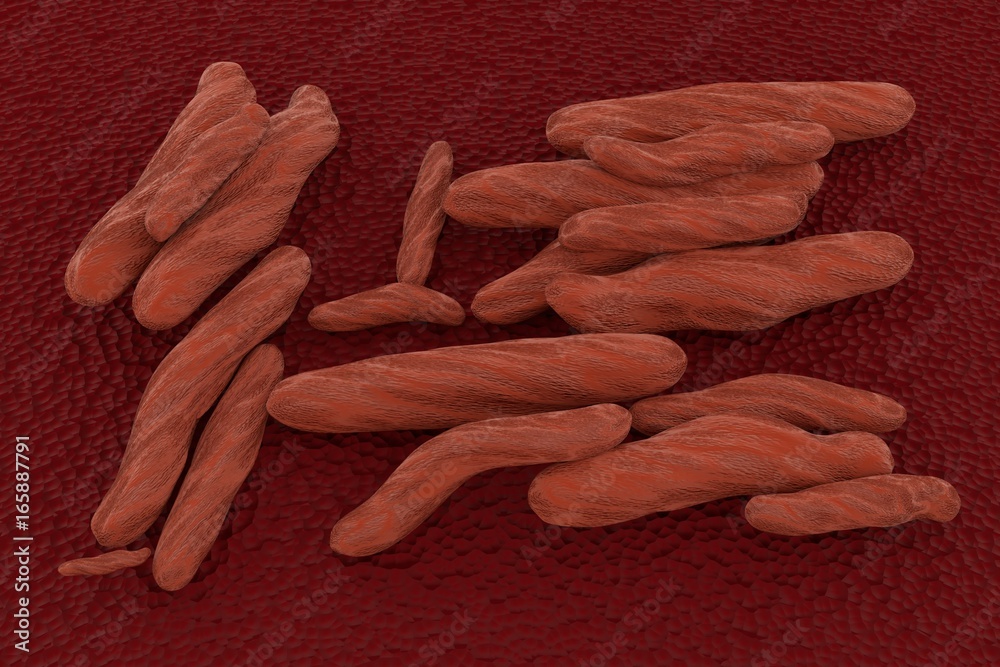 Bubonic plague bacterium Yersinia pestis macro 3d illustration Stock ...