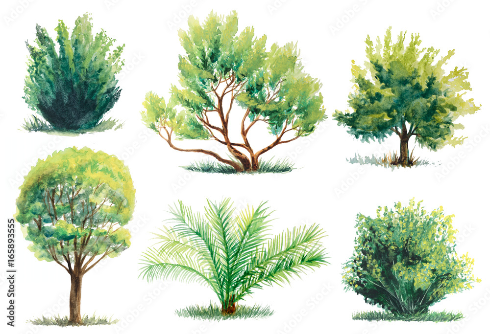 set of watercolor trees and bushes isolated on white Stock Illustration ...