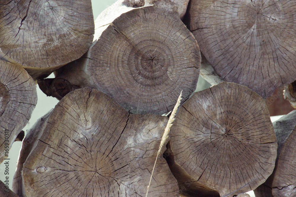 Natural Teak Wood Log