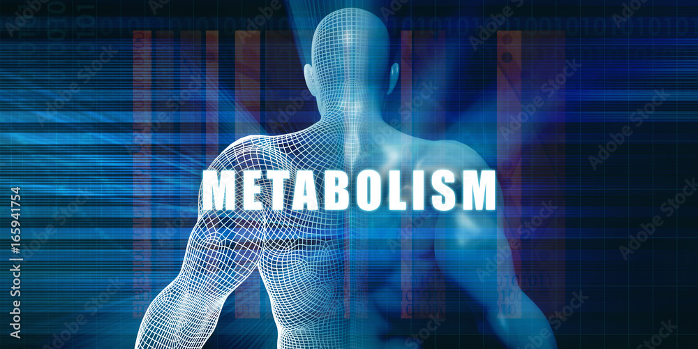 Metabolism Stock Illustration | Adobe Stock