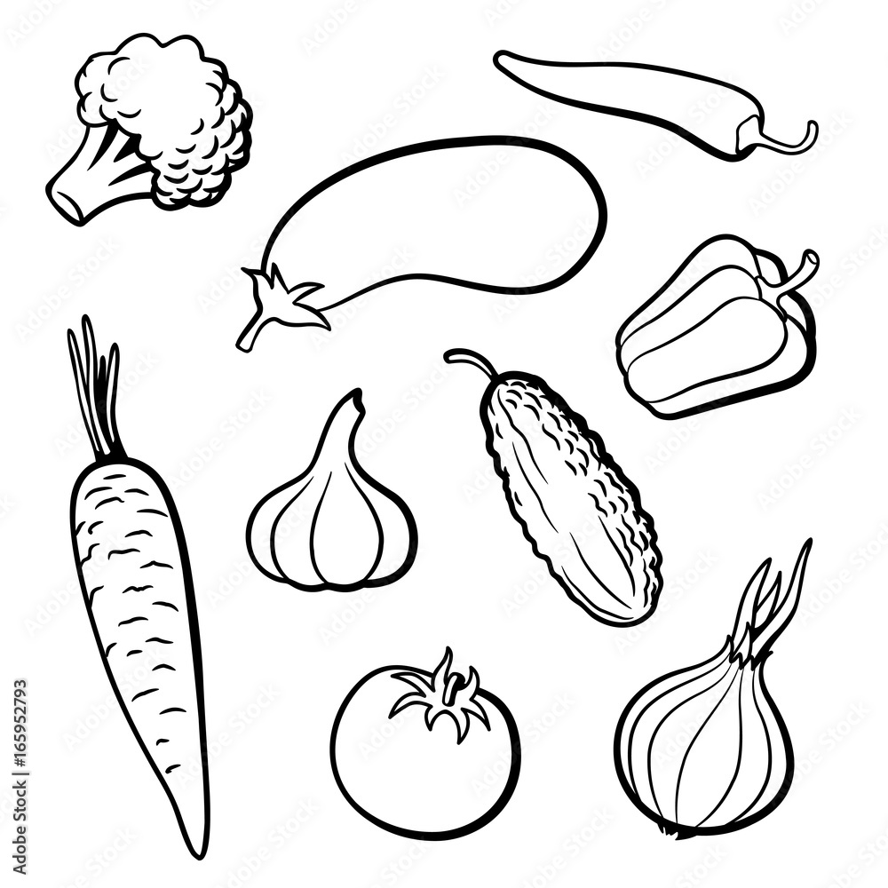 Set of outline vector vegetables. Broccoli, eggplant, hot chili pepper ...