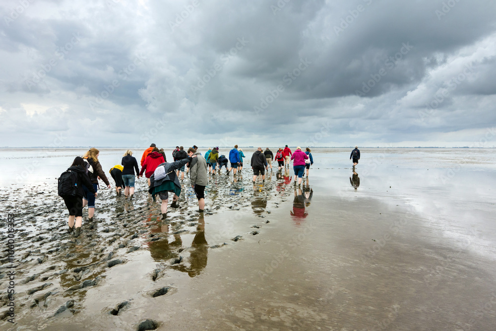 Wattwanderung im Schlick an der Nordseeküste, Weltnaturerbe ...
