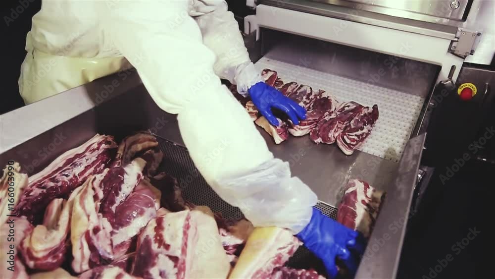 Butchers cleaning raw meat. The butcher carefully folds and sends large ...