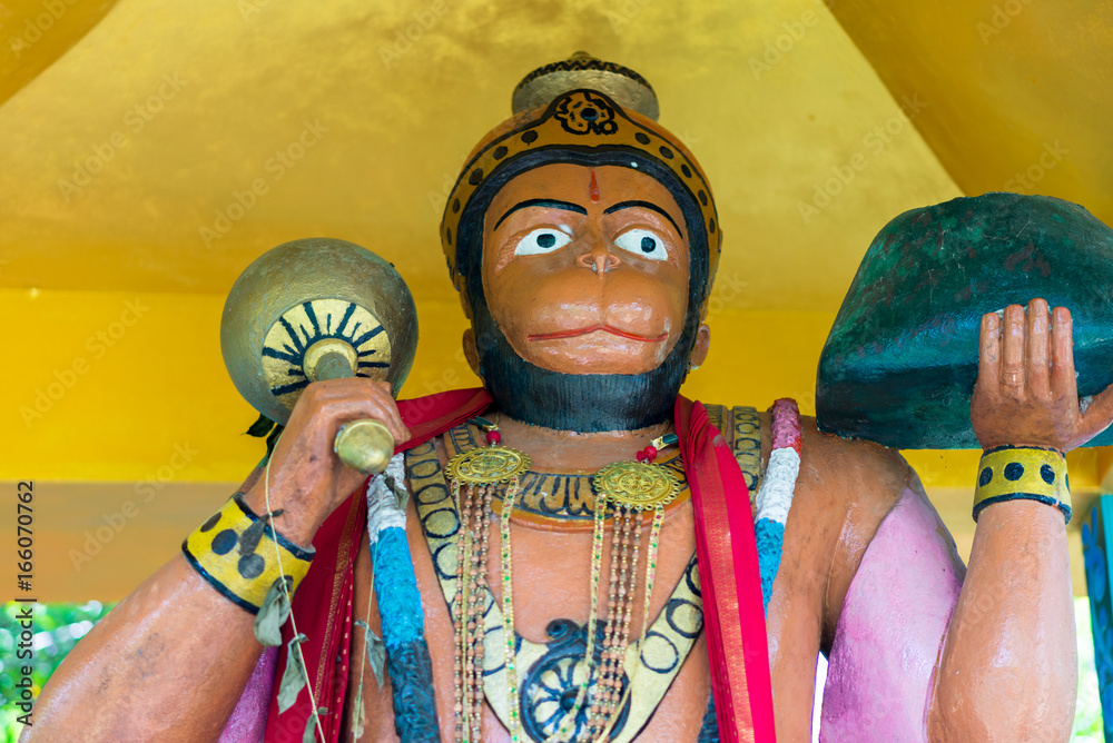 Real Hanuman Photo In Himalaya