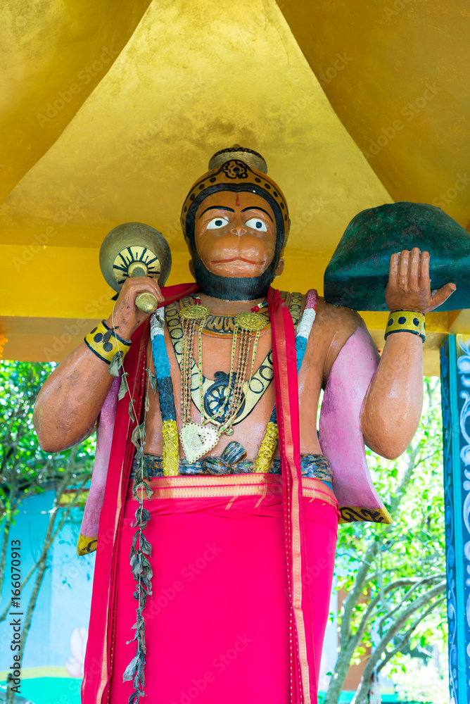 Real Hanuman Photo In Himalaya