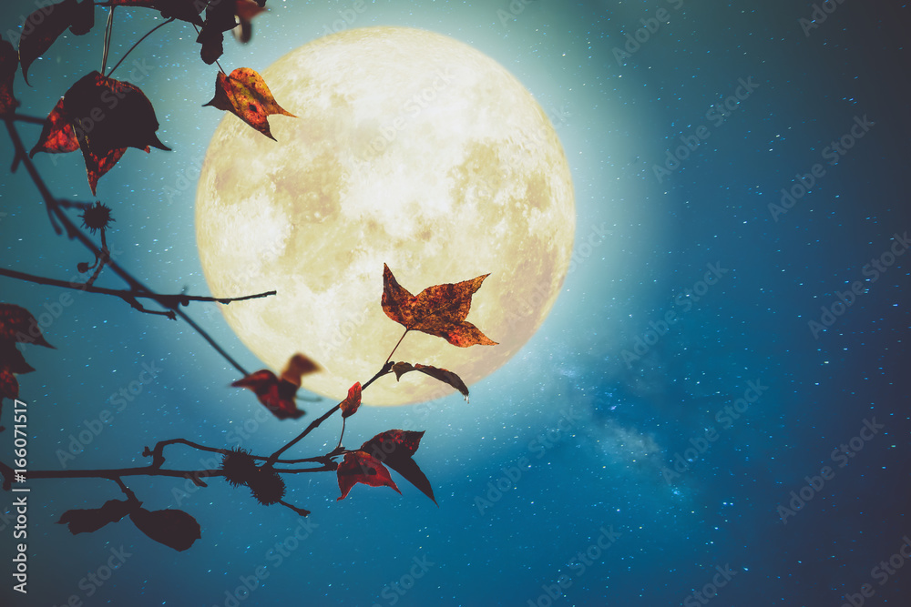 Beautiful autumn fantasy - maple tree in fall season and full moon with ...
