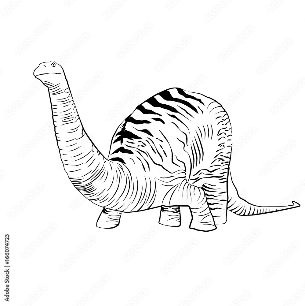Vector - Apatosaurus Line Drawing Sketch Stock Vector | Adobe Stock