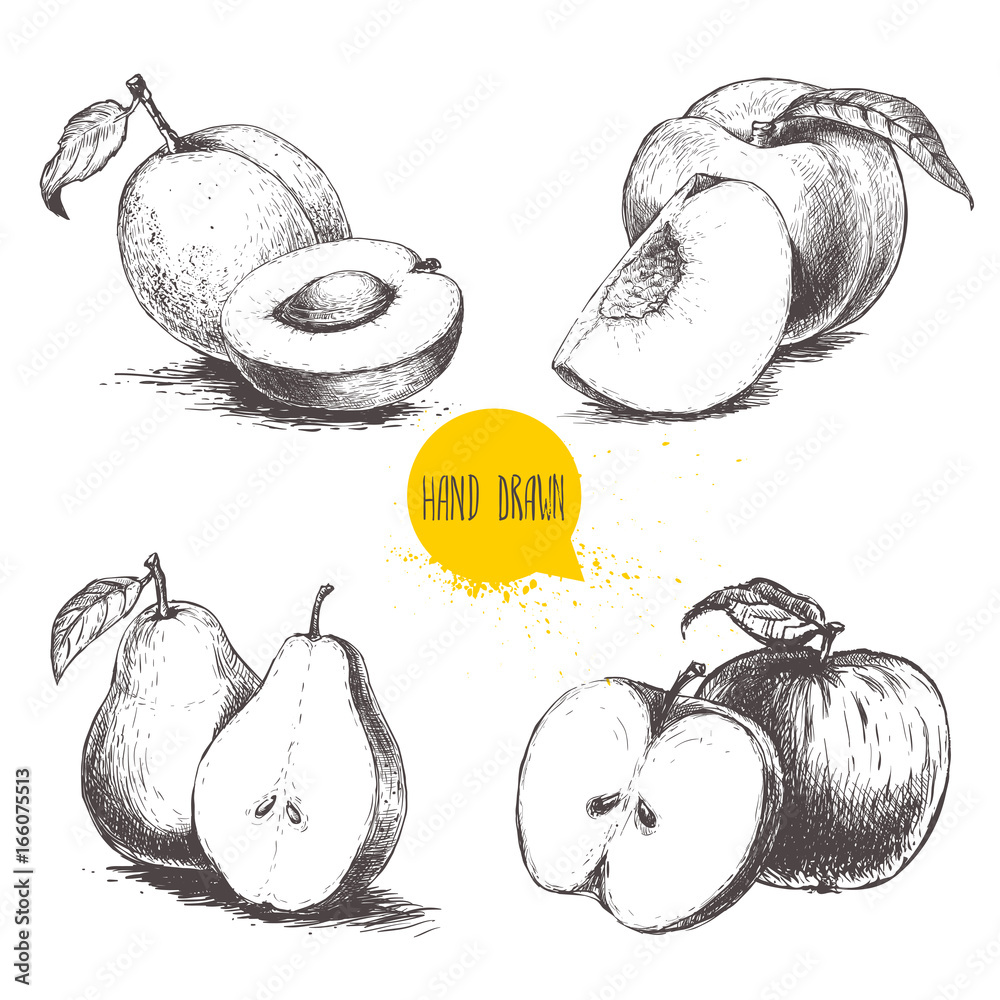 Hand drawn sketch style fruits set. Apricots, peaches, half pears ...