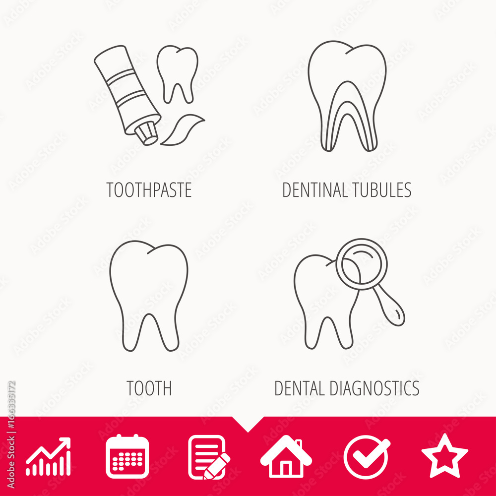 Tooth, dental diagnostics and toothpaste icons. Dentinal tubules linear ...