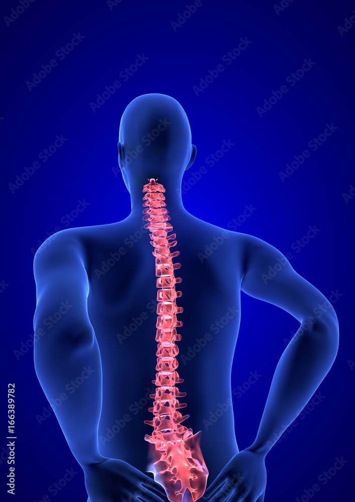 Spine Pain. Blue Human Anatomy Body 3D render on blue background Stock ...