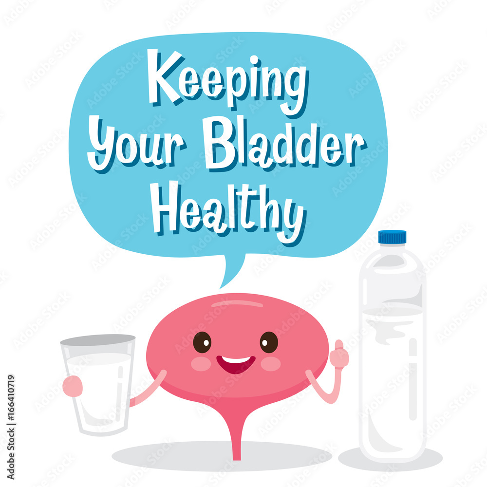 Bladder, Human Internal Organ, Cartoon Character, Physiology, Structure ...