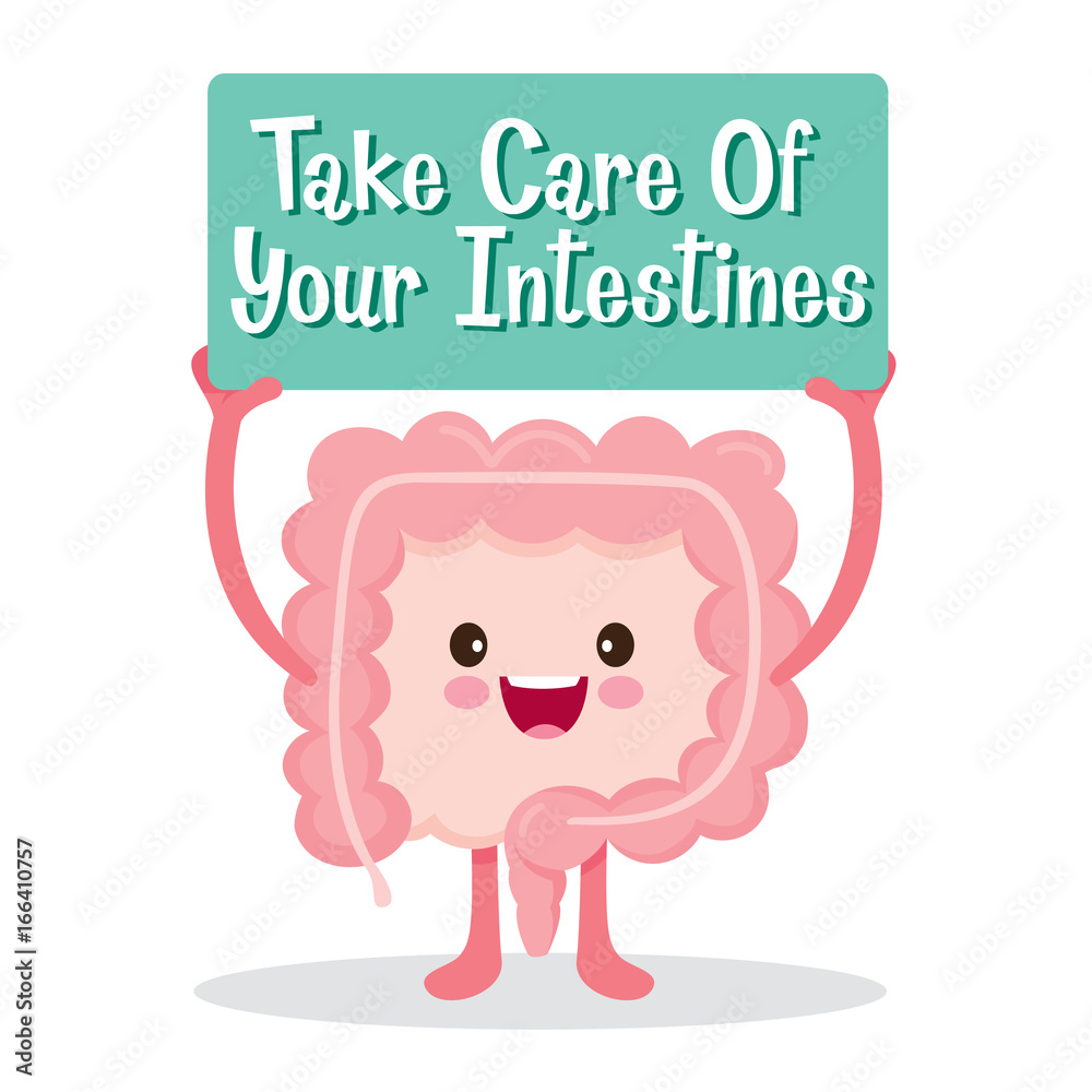 Intestines, Human Internal Organ, Cartoon Character Stock Vector ...