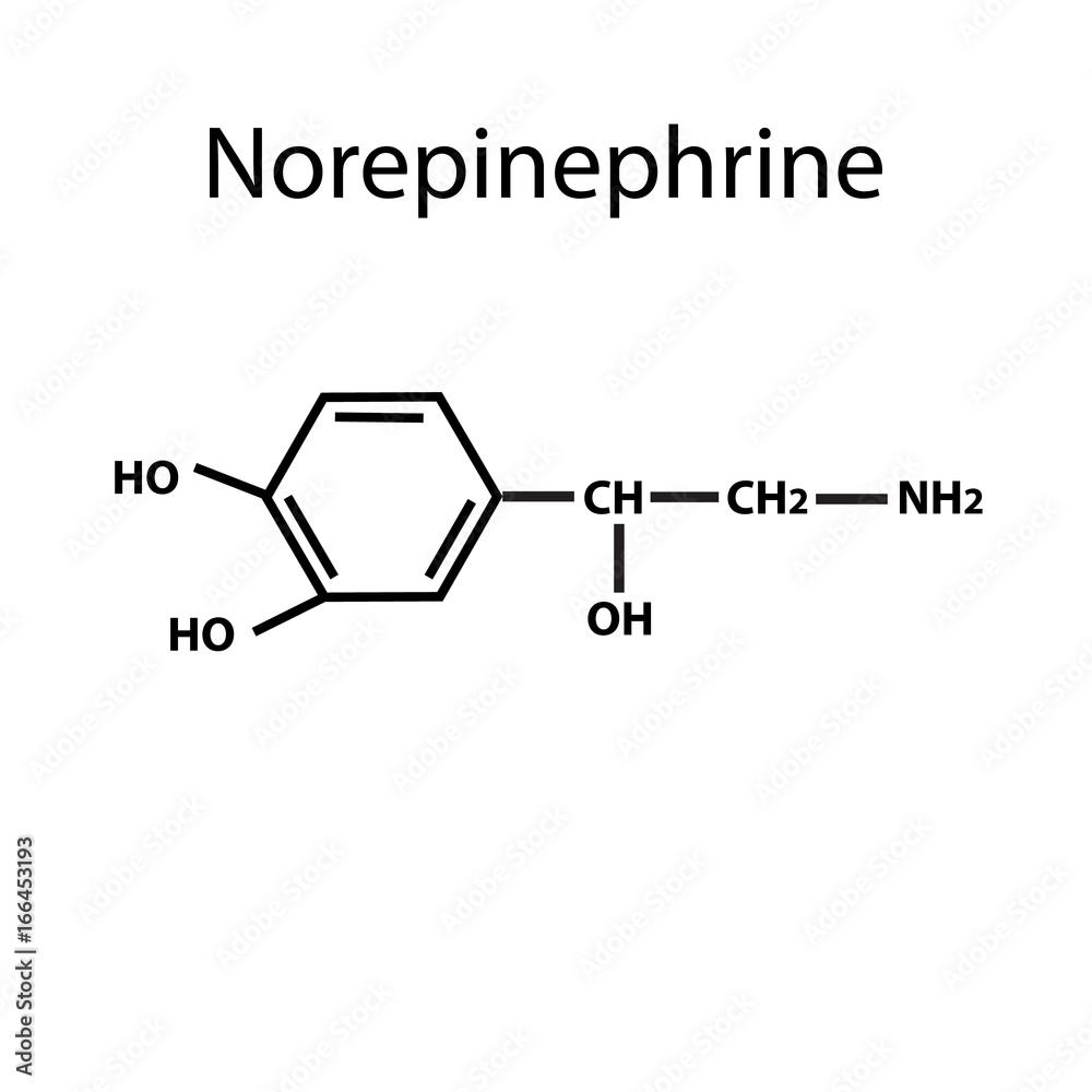 Norepinephrine hormone. Chemical formula. Vector illustration on ...