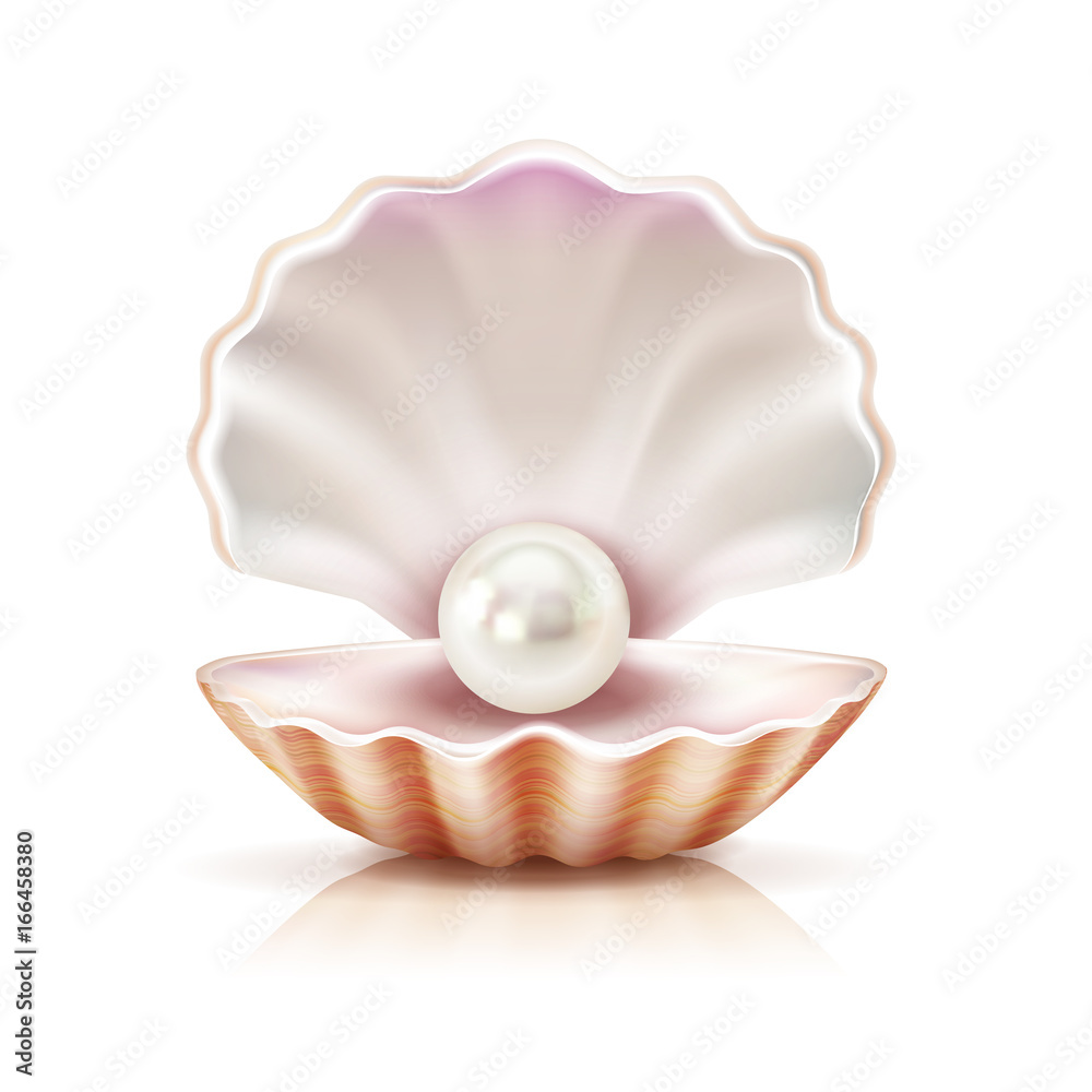 Shell Pearl Realistic Isolated Image Stock Vector | Adobe Stock