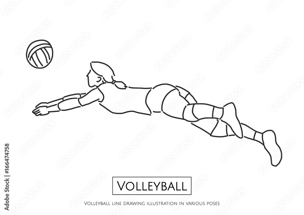 Volleyball line drawing illustration in various poses, line drawing ...