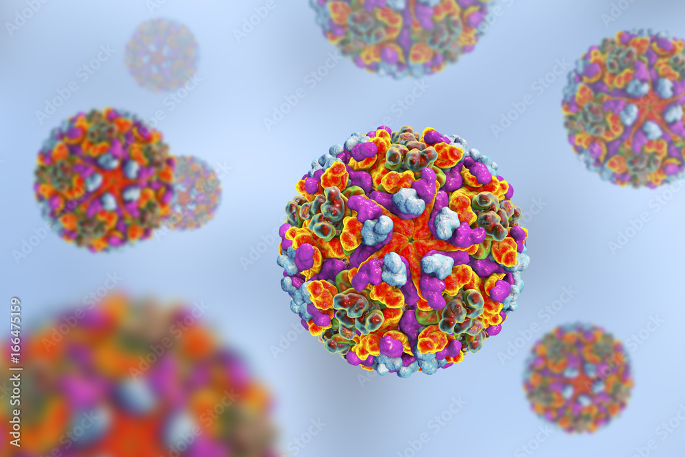 Illustrazione Stock Western equine encephalitis virus, 3D illustration ...