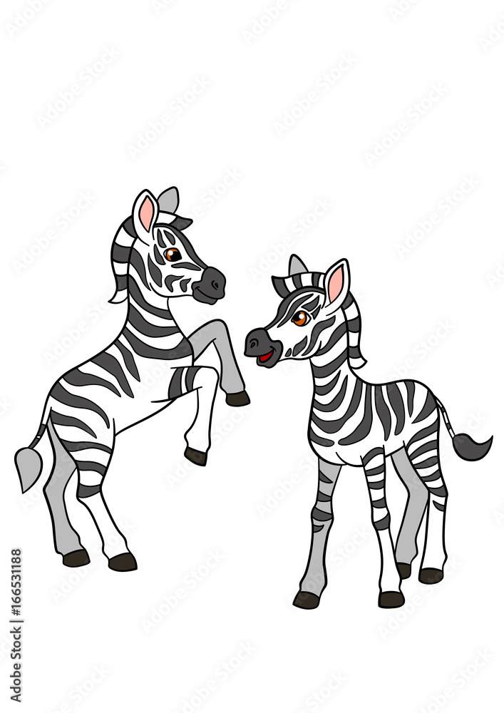 Cute Zebras