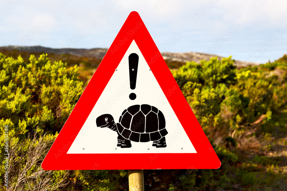 in south africa close up of the turtle sign Stock Photo | Adobe Stock