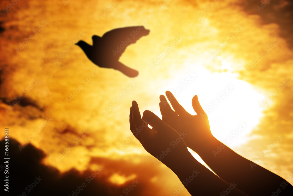 Man praying and free bird enjoying nature on sunset, Human raising ...
