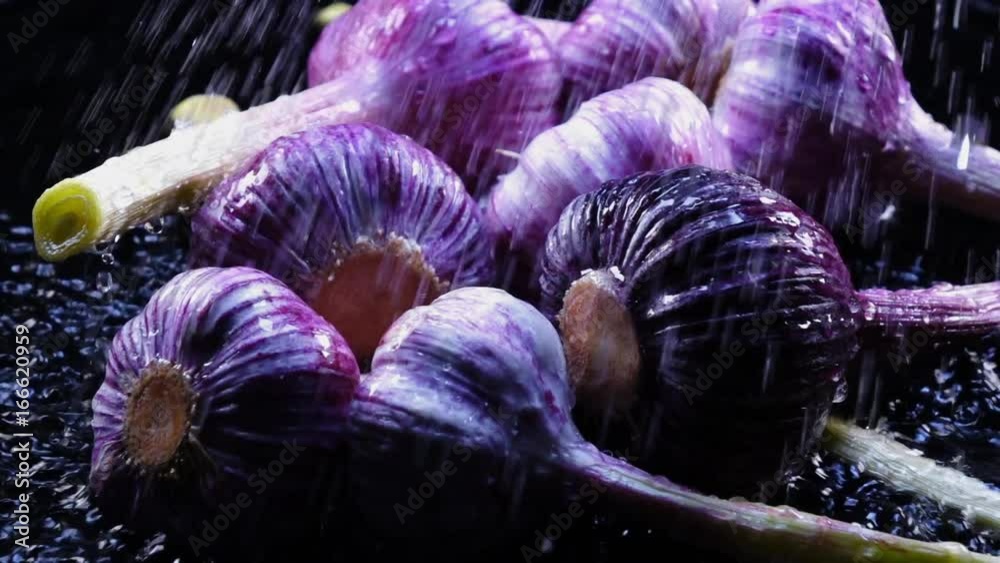 Amazing shower for young garlic, laying in shallow water in back-light ...