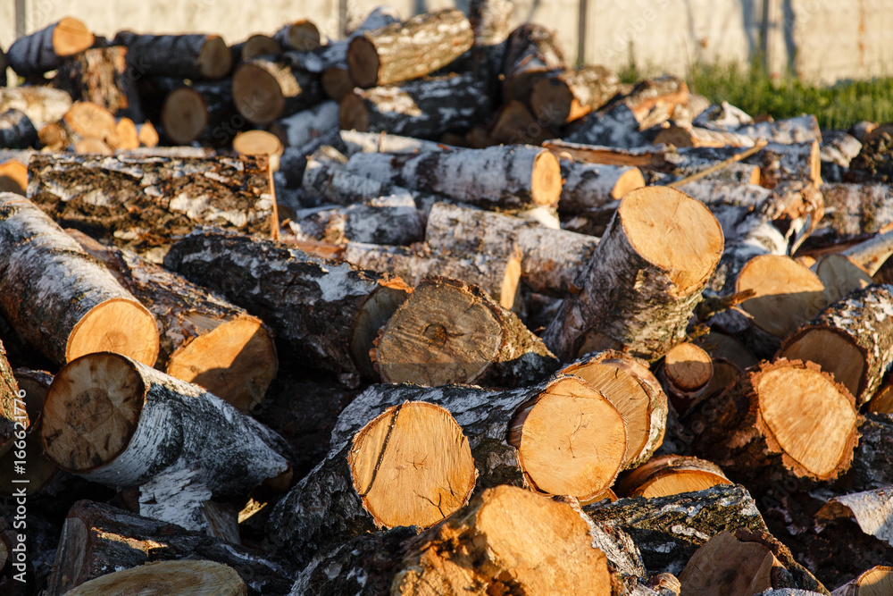 A lot of of spilled logs of birch. Sawmill. Harvesting of firewood ...