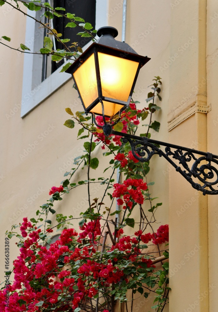 Lamp post attached to building with Bouganvilla flowers growing around ...