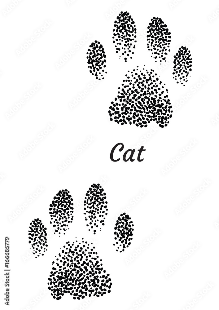 Cat footprint illustration, drawing, engraving, ink, line art, vector ...