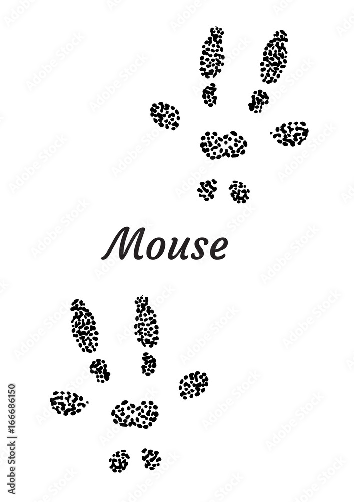 Mouse footprint illustration, drawing, engraving, ink, line art, vector ...