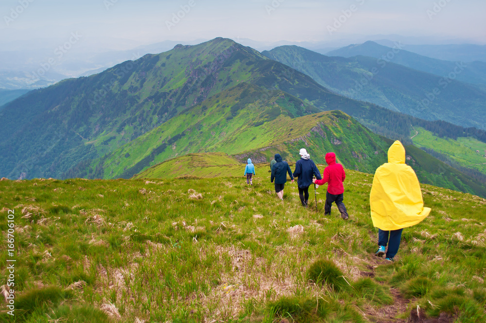 Winding Path Mountain