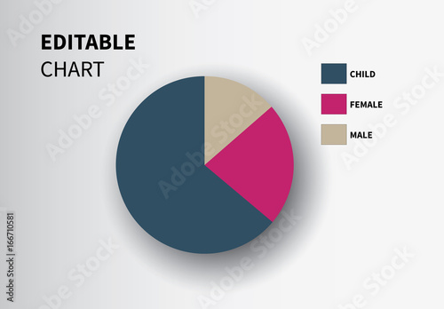 Dynamic Pie Chart Layout Stock Template | Adobe Stock