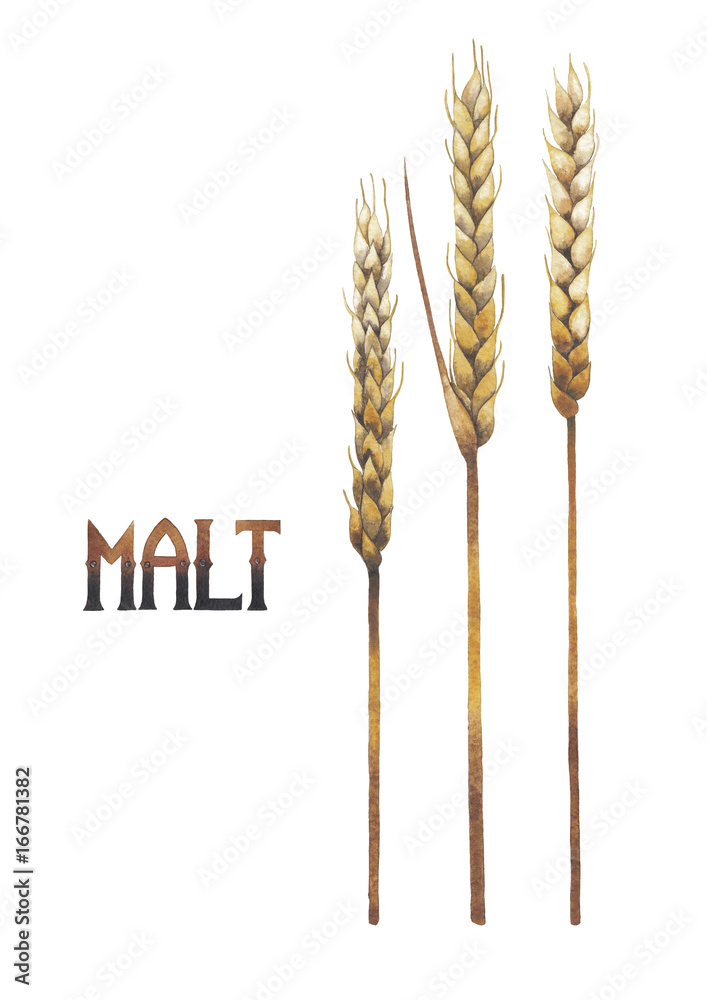 Watercolor malt set Stock Illustration | Adobe Stock