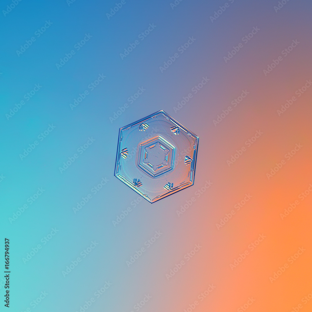 Real snowflake macro photo: small hexagonal plate snow crystal with ...