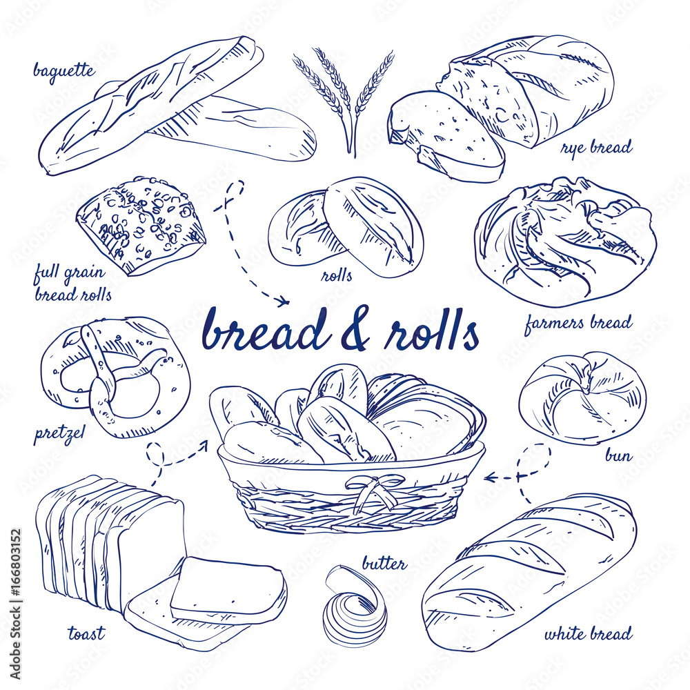 Bread Bun Drawing