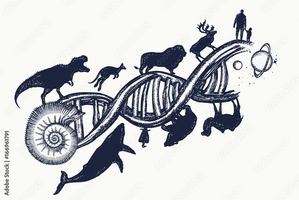 Evolution tattoo. DNA concept. Evolution scale from unicellular ...