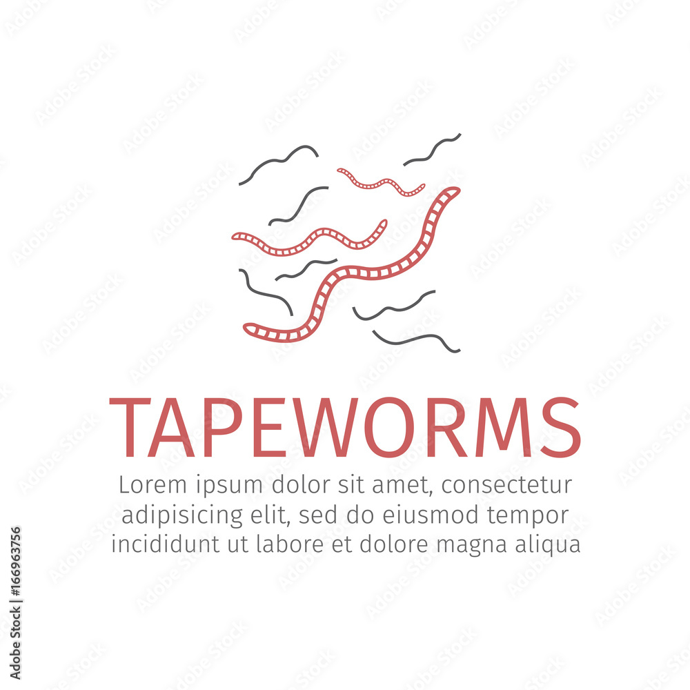 Tapeworms Stock Vector | Adobe Stock