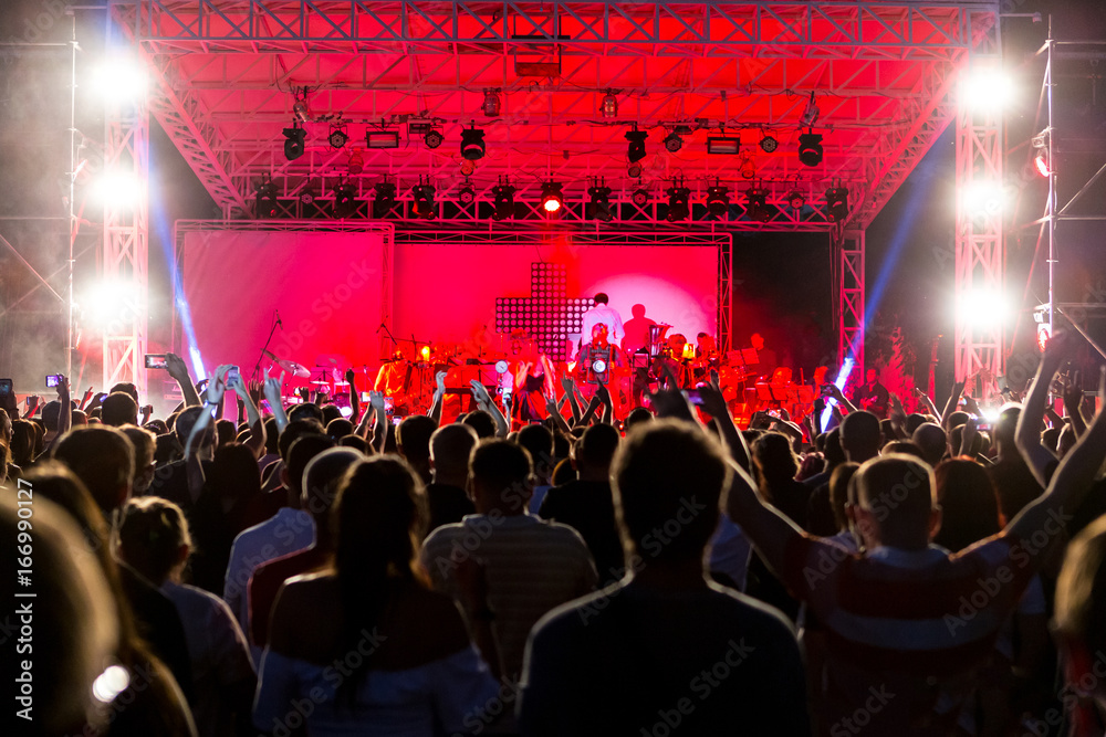 Concert Audience Stage View