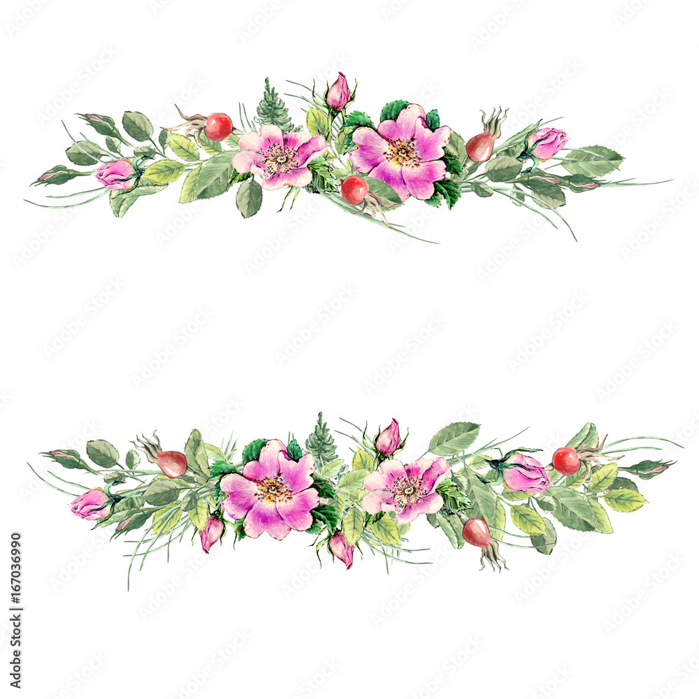 Banner with flowering pink roses names: dog rose, rosa canina, Japanese ...