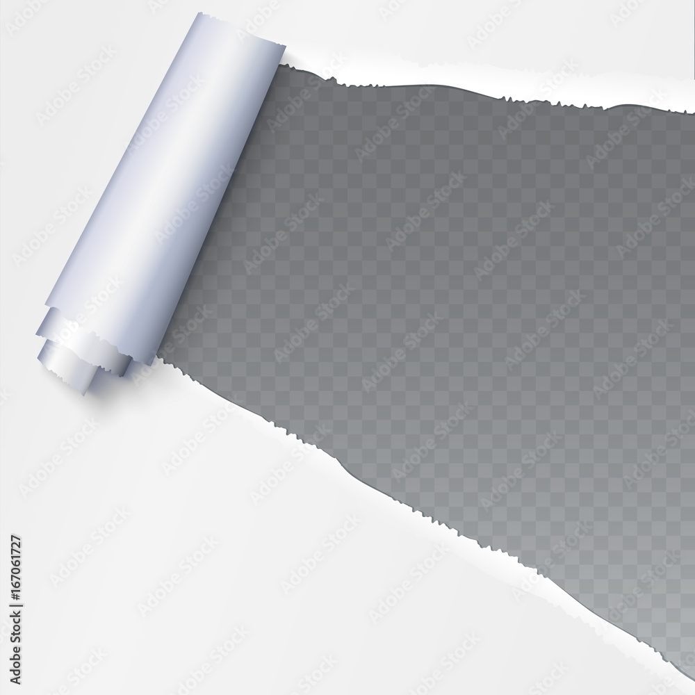 Realistic torn open paper with space for text on transparent background ...