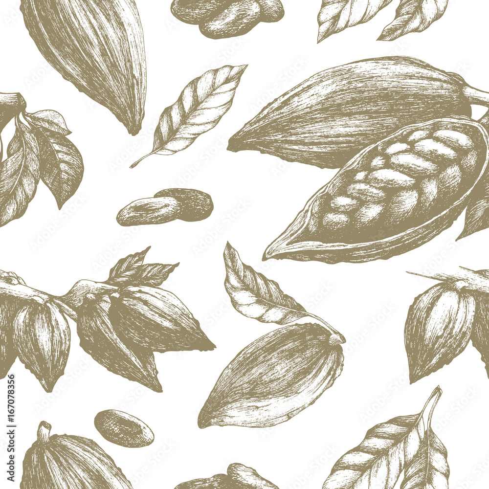 Cocoa seamless pattern, retro style sketch vector illustration ...