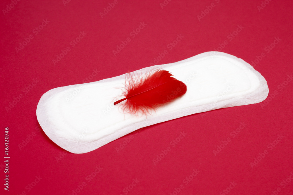 Red feather and daily menstrual woman pad for hygiene or blood period ...