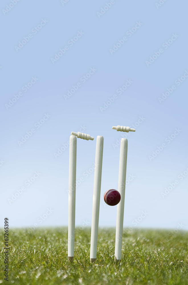 Cricket ball hitting the wicket Stock Photo | Adobe Stock