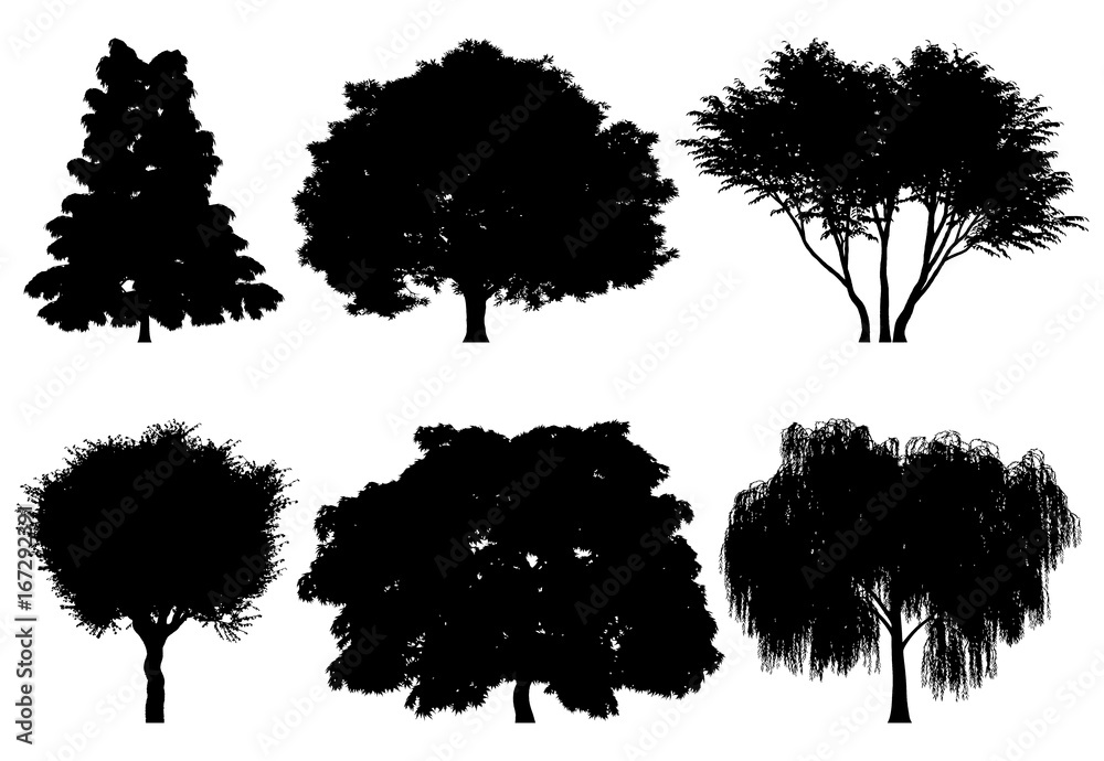 Vector illustration of tree silhouettes for architectural compositions ...