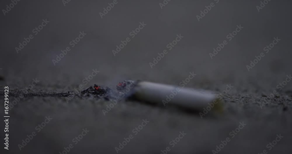 Person drops cigarette and smothers it on pavement, close up Stock ...