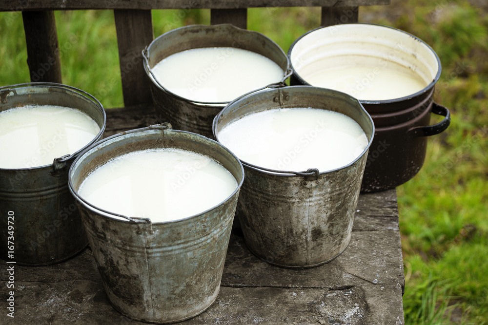 Buckets of whey left after making homemade cottage cheese Stock Photo ...